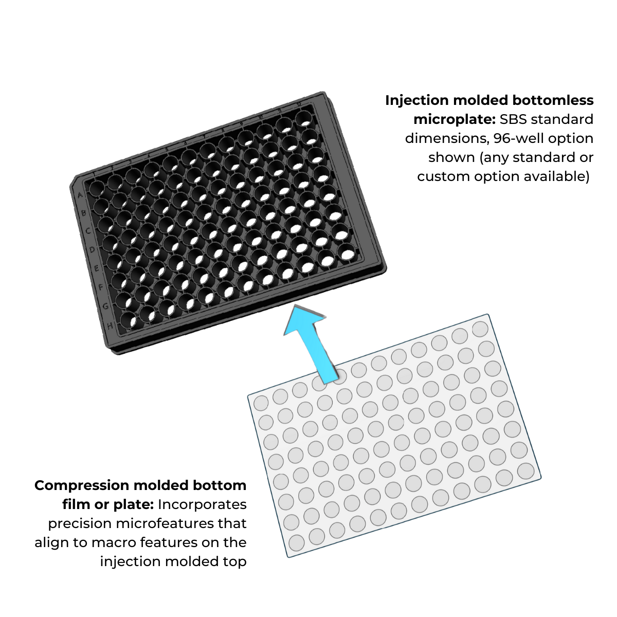 Custom Microplates | Edge Precision